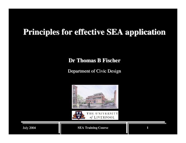 (PDF) Principles for effective SEA application