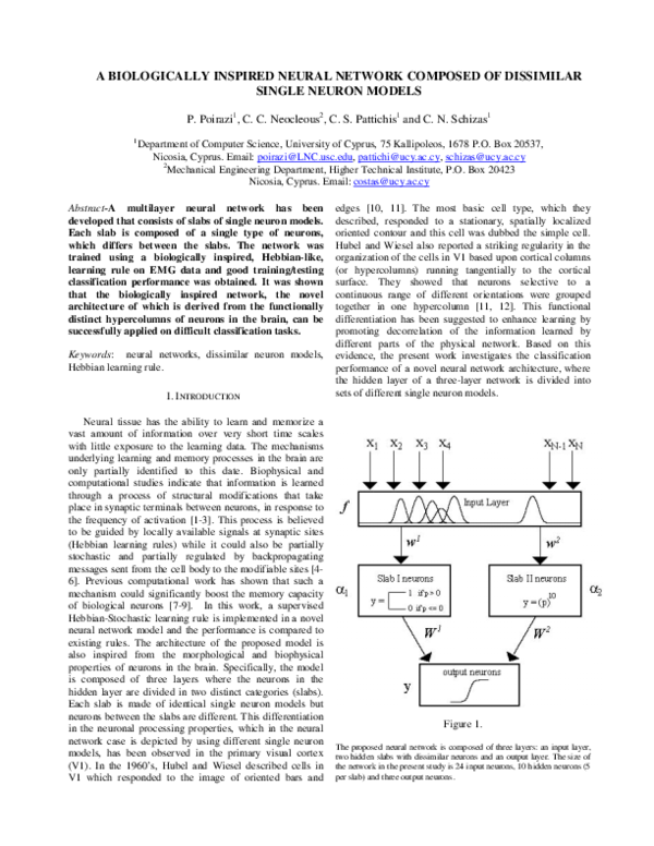 (PDF) A biologically inspired neural network composed of dissimilar single neuron models