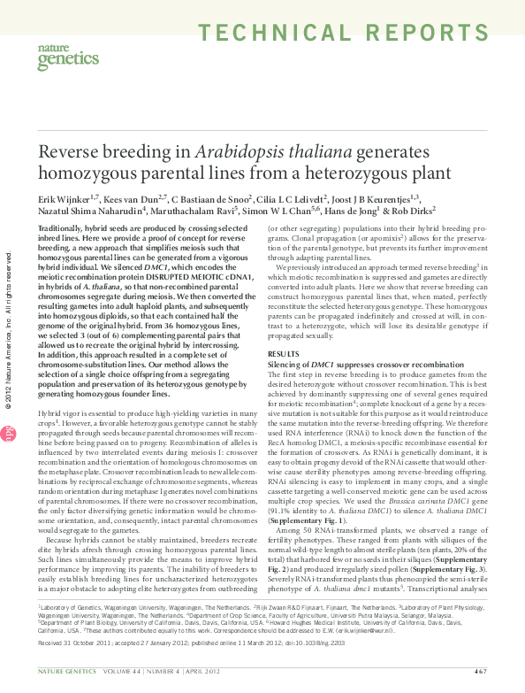 (PDF) Reverse breeding in Arabidopsis thaliana generates homozygous ...