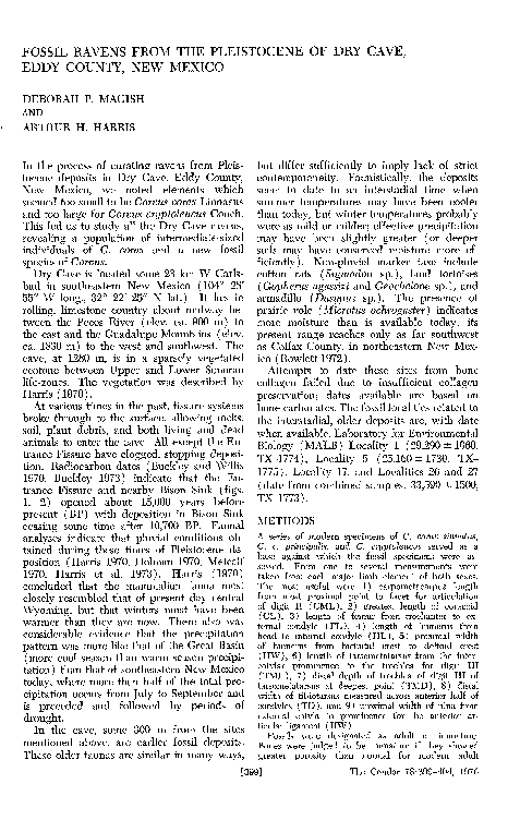 (PDF) Fossil ravens from the Pleistocene of Dry Cave, Eddy County, New ...
