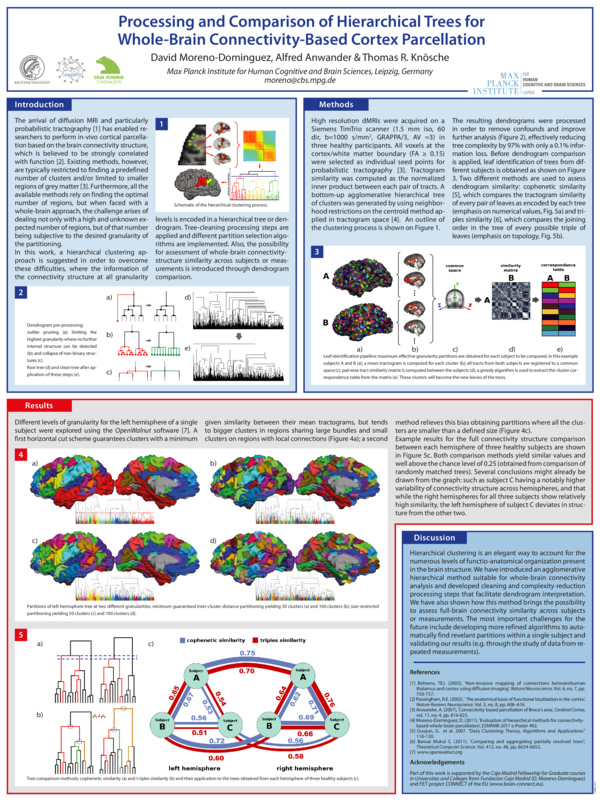 Pdf Matching And Comparison Of Hierarchical Trees For Whole Brain