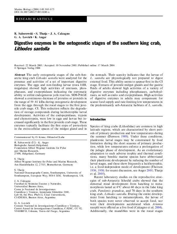 (PDF) Digestive enzymes in the ontogenetic stages of the southern king ...