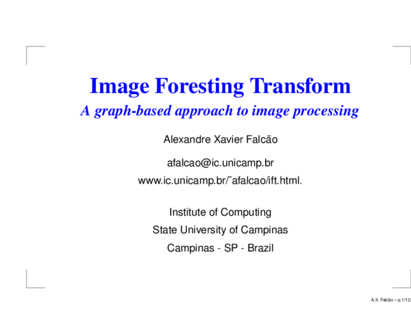 (PDF) Image foresting transform