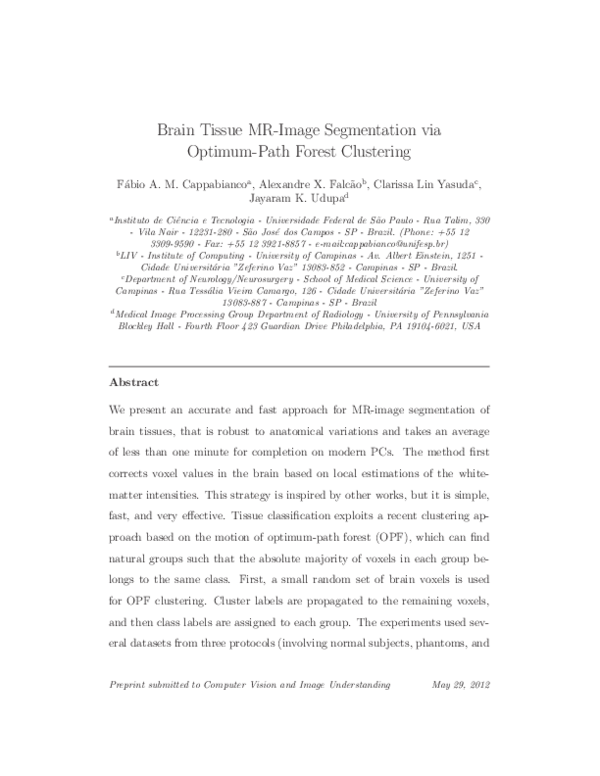 (PDF) Brain tissue MR-image segmentation via optimum-path forest clustering