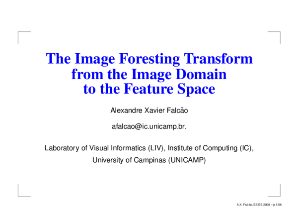(PDF) The Image Foresting Transform from the Image Domain to the Feature Space