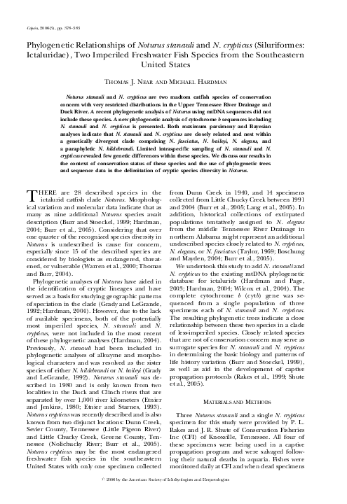 (PDF) Phylogenetic relationships of Noturus stanauli and N. crypticus ...