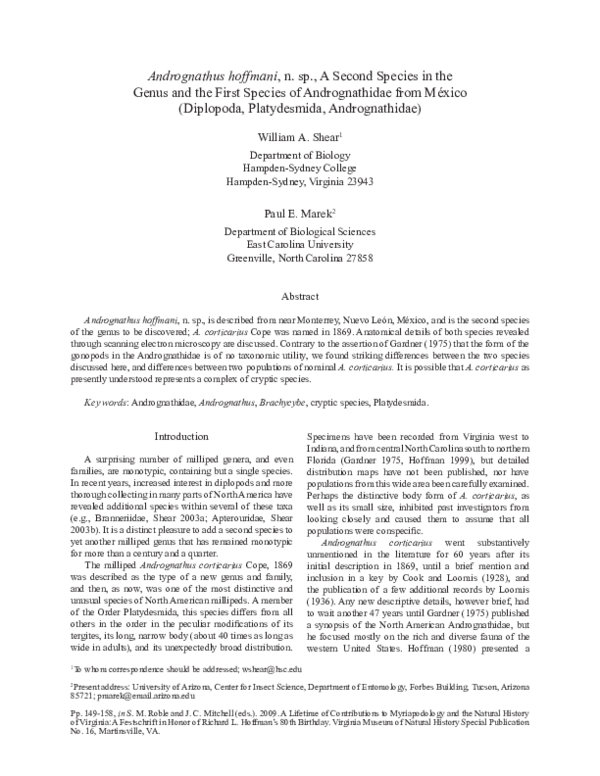 (PDF) Andrognathus hoffmani, n. sp., A Second Species in the Genus and ...
