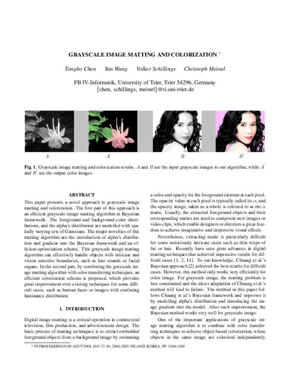 Pdf Grayscale Image Matting And Colorization