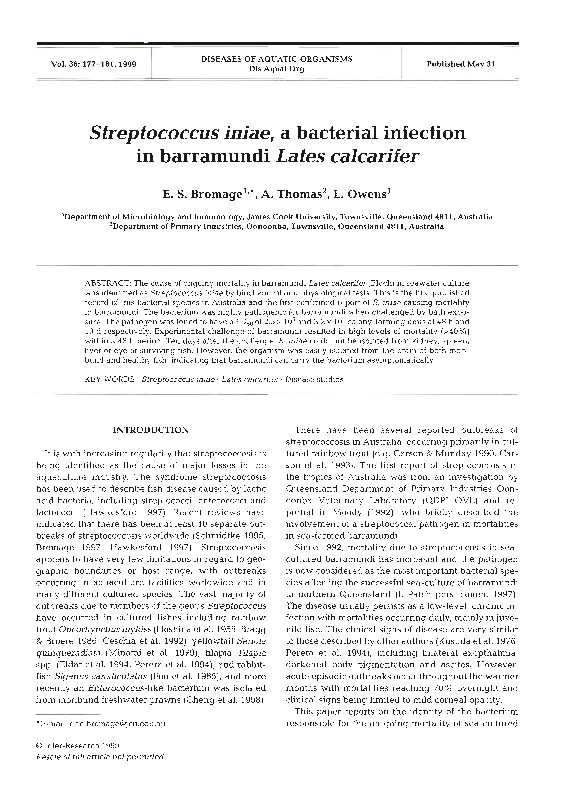 (PDF) Streptococcus iniae, a bacterial infection in barramundi Lates ...