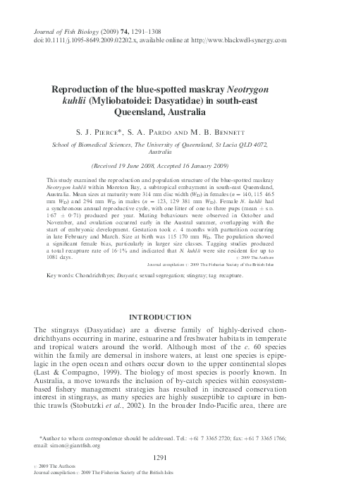 (PDF) Reproduction of the blue‐spotted maskray Neotrygon kuhlii ...