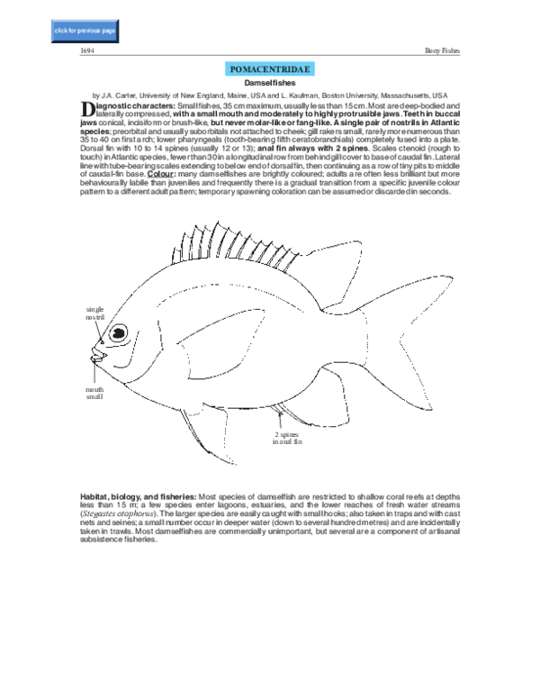 (PDF) laterally compressed, with a small mouth and moderately to highly ...