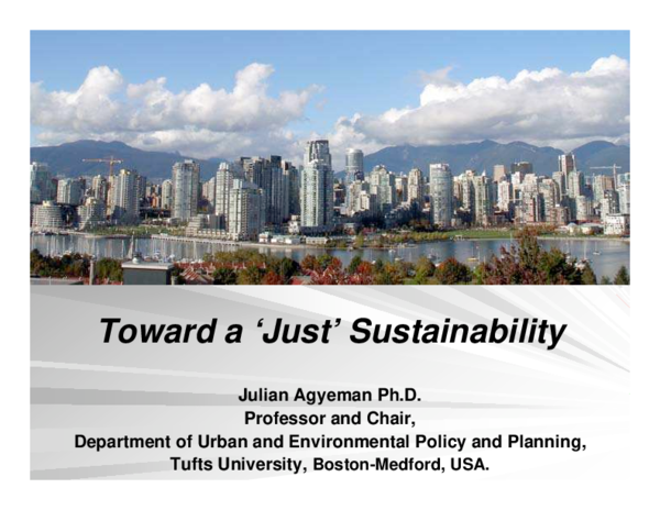(PDF) Toward a ‘just’sustainability?