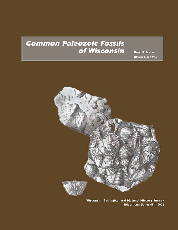 (PDF) Common Paleozoic Fossils of Wisconsin