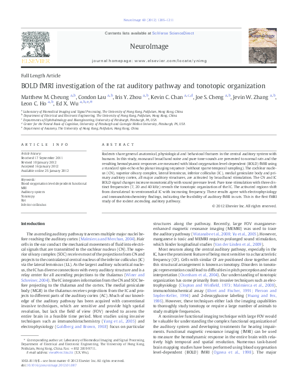 (PDF) BOLD fMRI investigation of the rat auditory pathway and tonotopic ...
