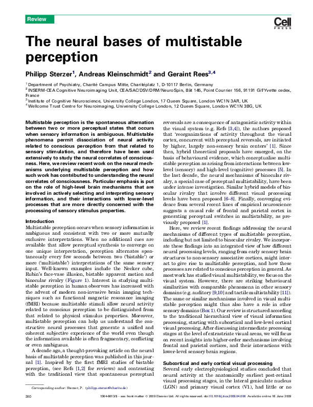 (PDF) The neural bases of multistable perception