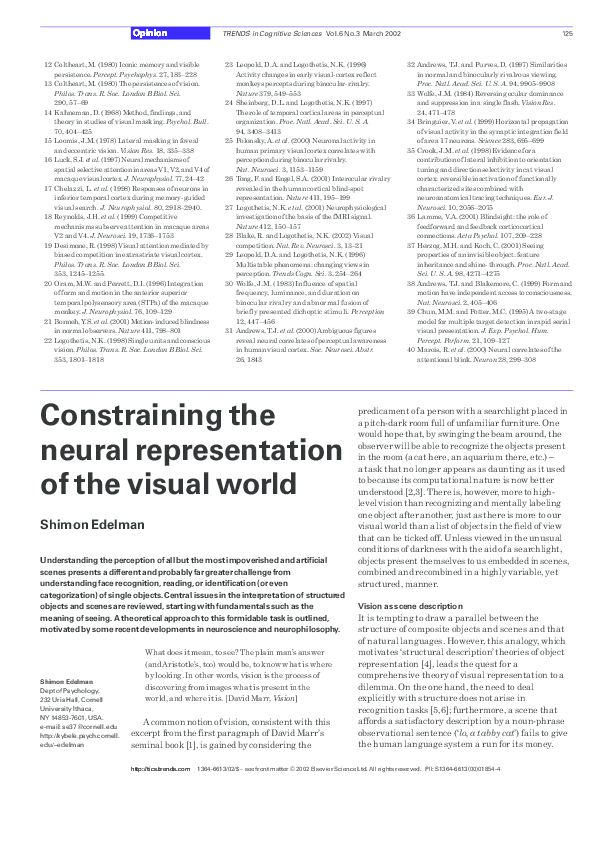 (PDF) Constraining the neural representation of the visual world