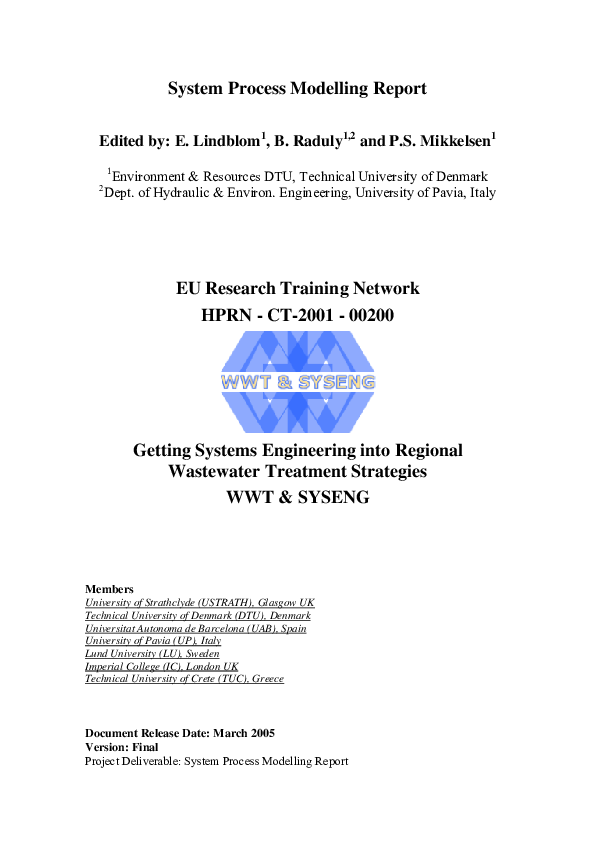 System process modelling report