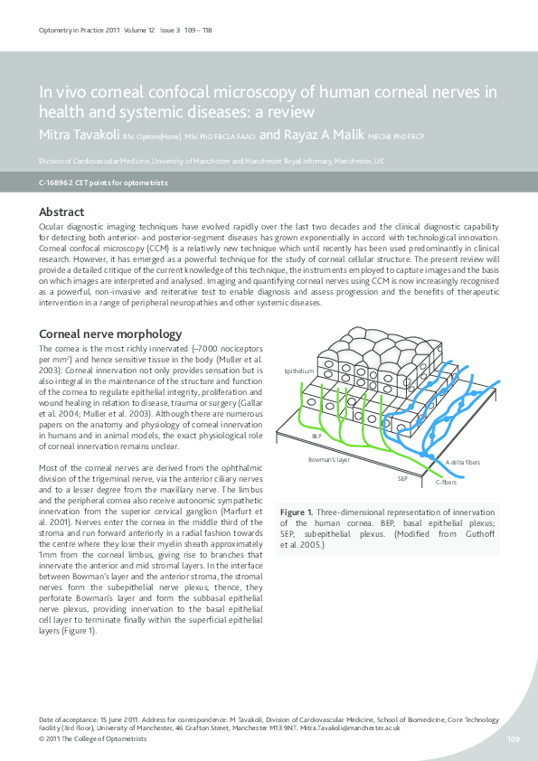 (PDF) In vivo corneal confocal microscopy of human corneal nerves in health and systemic ...