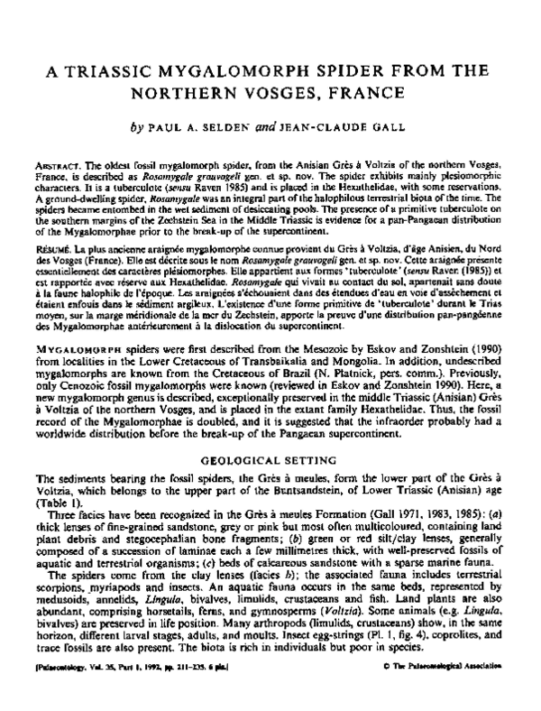 (PDF) A Triassic mygalomorph spider from the northern Vosges, France