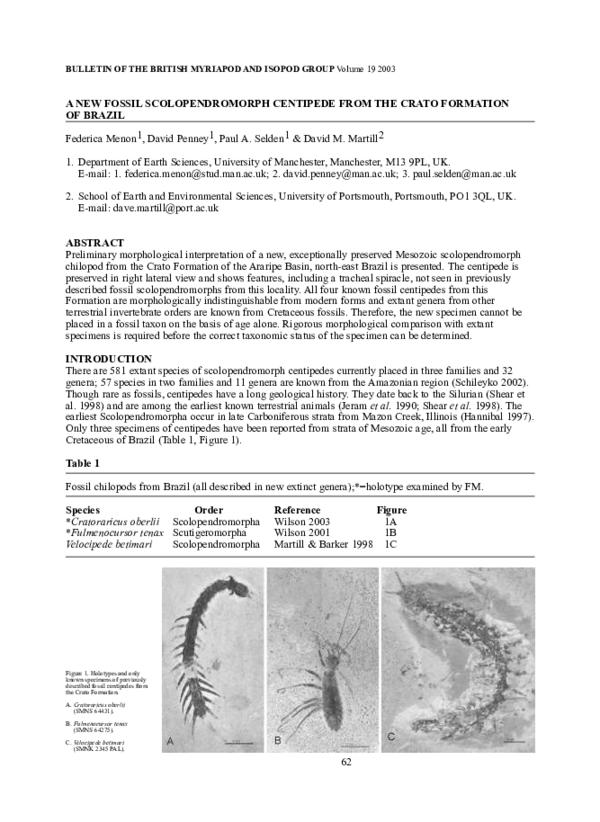 (PDF) A new fossil scolopendromorph centipede from the Crato formation ...