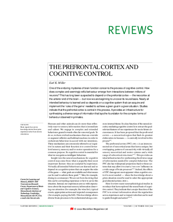(PDF) The prefrontal cortex and cognitive control