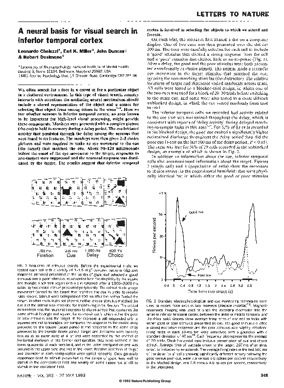 Pdf A Neural Basis For Visual Search In Inferior Temporal Cortex