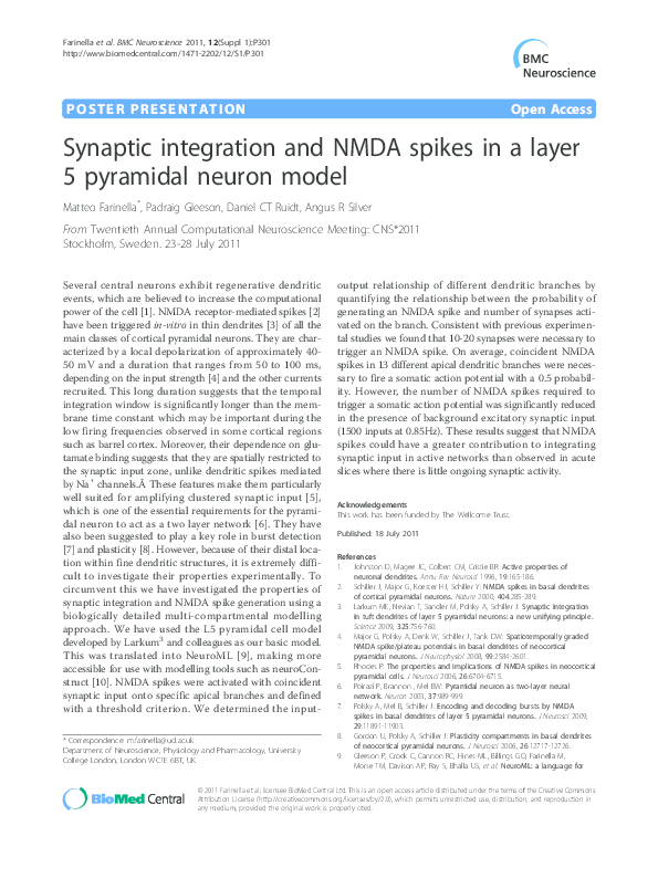 (PDF) Synaptic integration and NMDA spikes in a layer 5 pyramidal ...