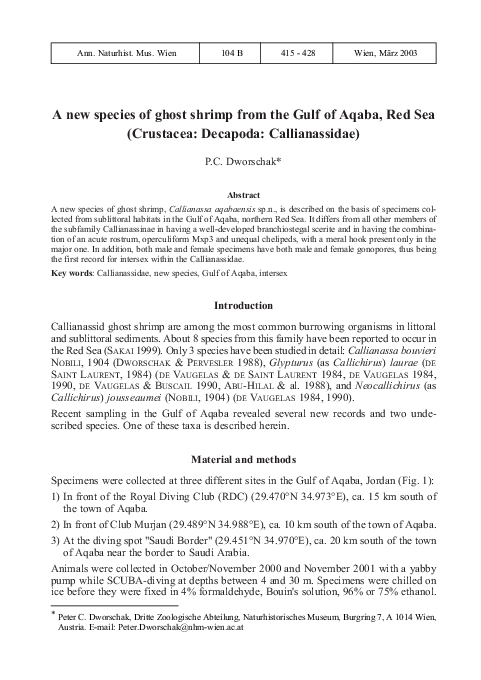 (PDF) A new species of ghost shrimp from the Gulf of Aqaba, Red Sea ...