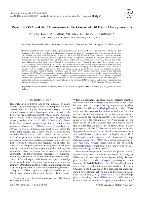 (PDF) Repetitive DNA and the chromosomes in the genome of oil palm ...