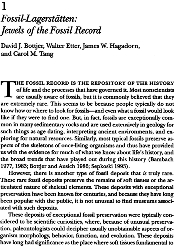 (PDF) Fossil-Lagerstatten: Jewels of the fossil record