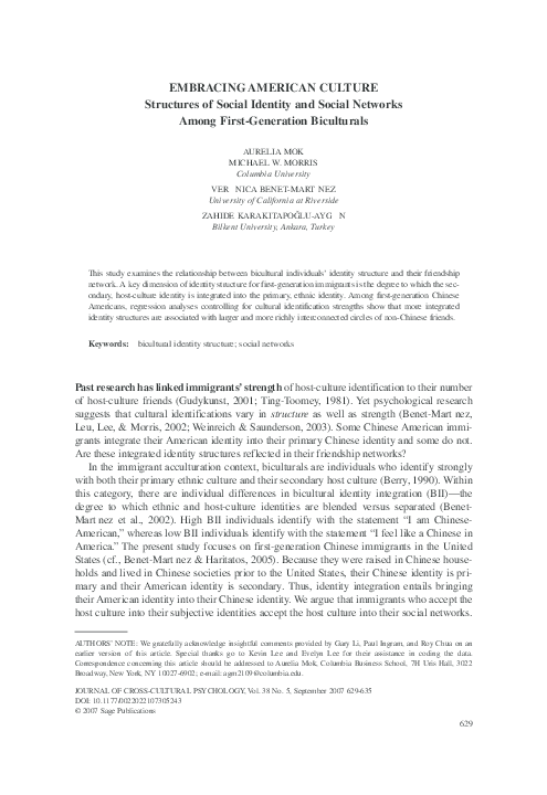 (PDF) Embracing American Culture Structures of Social Identity and ...