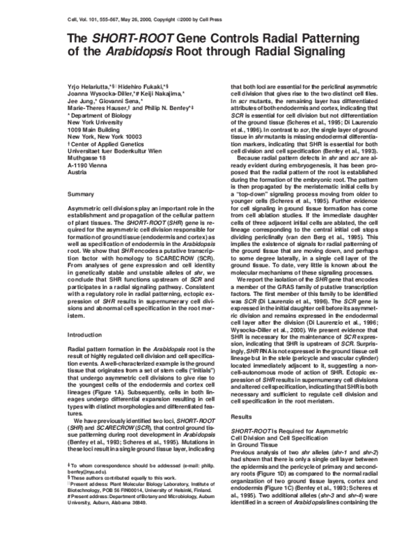 (PDF) The SHORT-ROOT gene controls radial patterning of the Arabidopsis ...