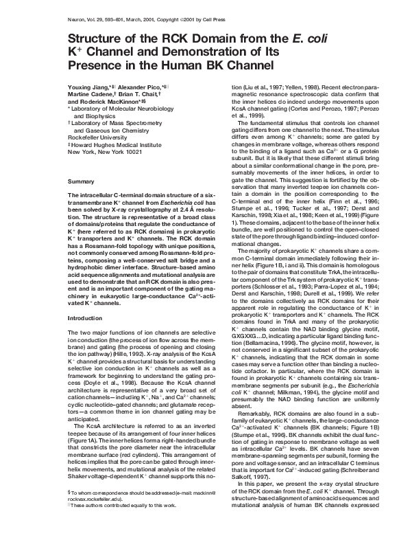(PDF) Structure of the RCK Domain from the E. coli K + Channel and ...