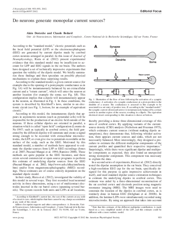 (PDF) Do neurons generate monopolar current sources?