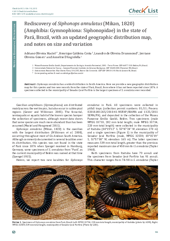 (PDF) Rediscovery of Siphonops annulatus (Mikan, 1820) (Amphibia ...