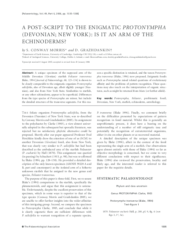 (PDF) A post-script to the enigmatic Protonympha (Devonian; New York ...