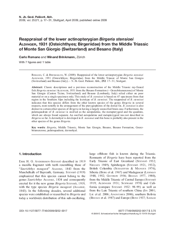 (PDF) Reappraisal of the lower actinopterygian Birgeria stensioei ...