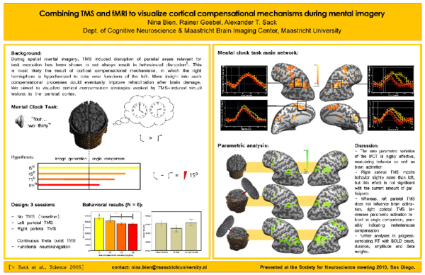 (PDF) Combining TMS and fMRI to visualise cortical compensational ...