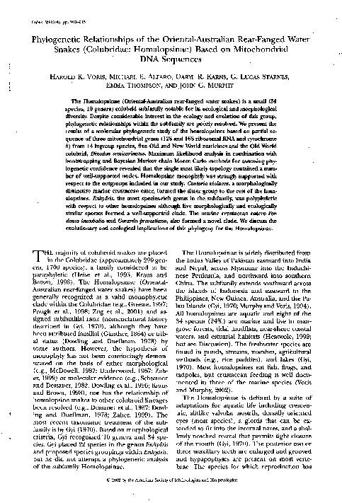 (PDF) 2002. Phylogenetic Relationships of the Oriental-Australian Rear ...