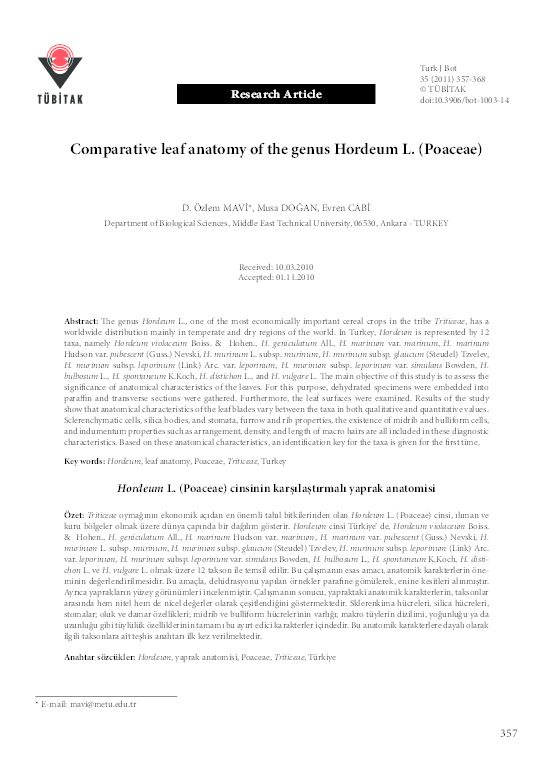 (PDF) Comparative leaf anatomy of the genus Hordeum L. (Poaceae)