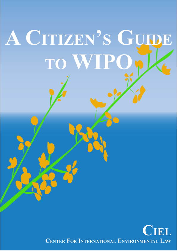 (PDF) A Citizen's Guide to WIPO