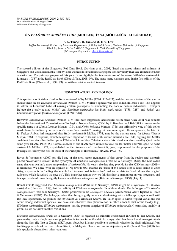 (PDF) On Ellobium aurismalchi (Müller, 1774) (Mollusca: Ellobidae)