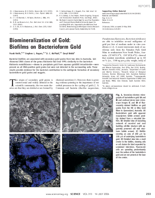 (PDF) Biomineralization of Gold: Biofilms on Bacterioform Gold