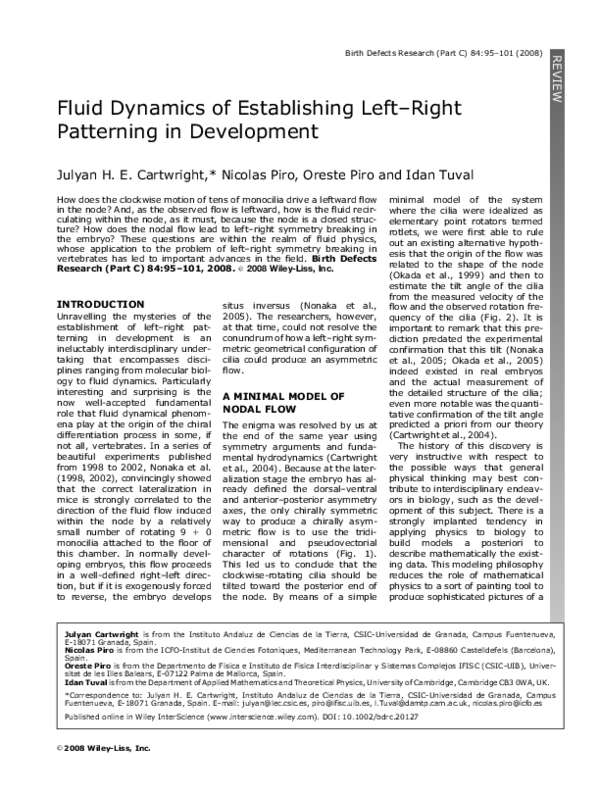 (PDF) Fluid dynamics of nodal flow and left–right patterning in development