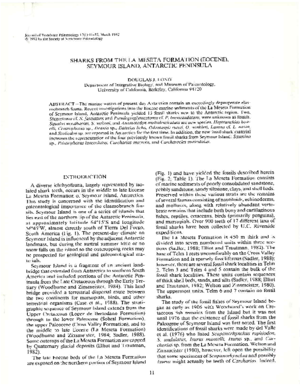 (PDF) Sharks from the La Meseta Formation (Eocene), Seymour Island ...