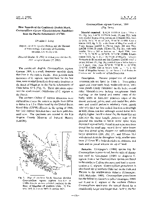 (PDF) First Records of the Combtooth Dogfish Shark, Centroscyllium ...