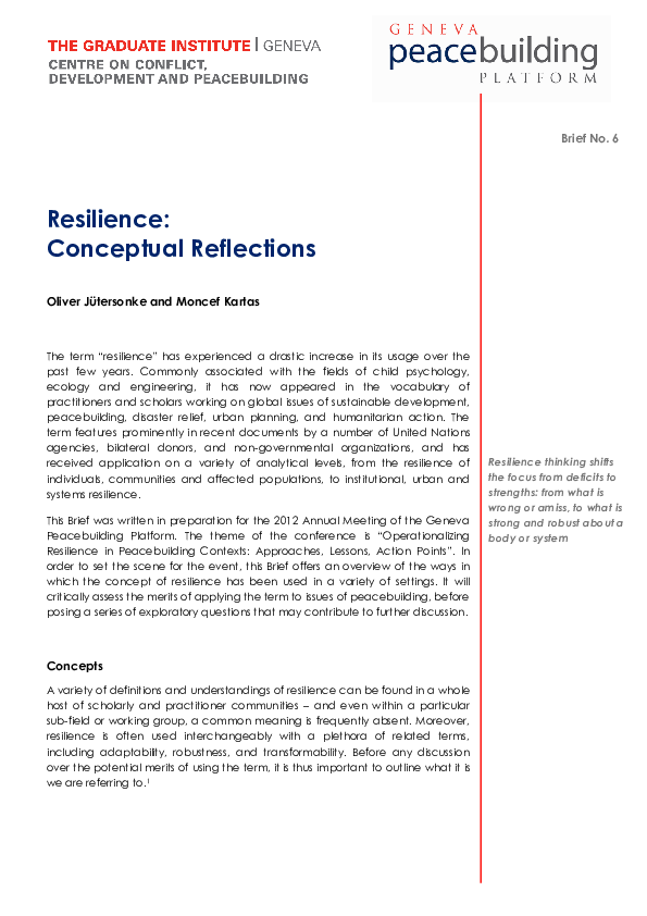 (PDF) Resilience: Conceptual Reflections