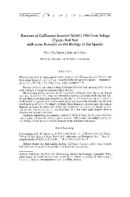 (PDF) Dworschak, P.C. & Pervesler, P. (1988) Burrows of Callianassa ...
