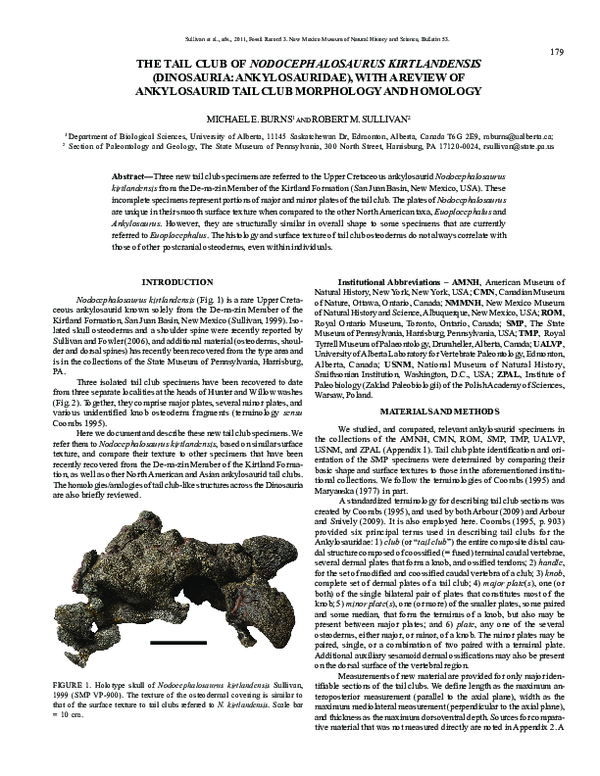 (PDF) The tail club of Nodocephalosaurus kirtlandensis (Dinosauria ...