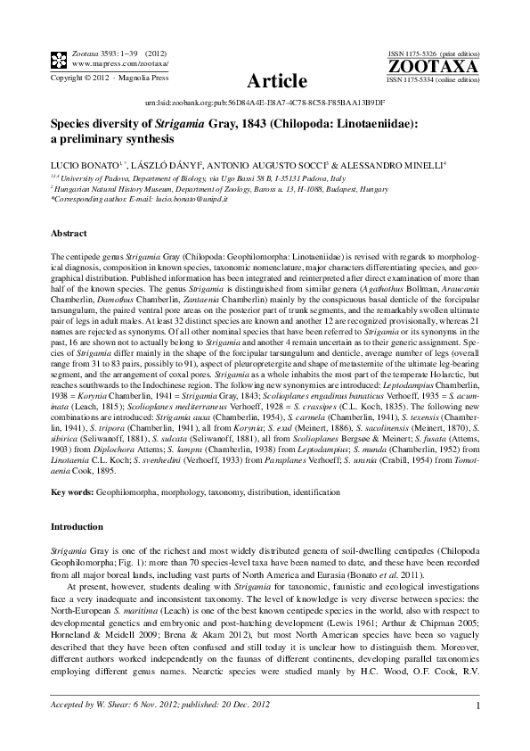 (PDF) Species diversity of Strigamia Gray, 1843 (Chilopoda ...